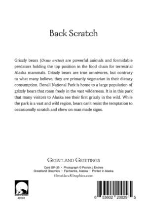 Back Scratch Grizzly bear notecard by Patrick J Endres
