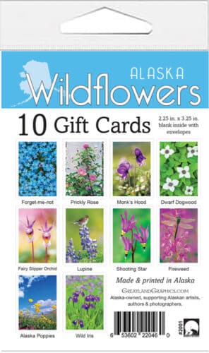 Wildflower Gift Card Pack - Greatland Graphics