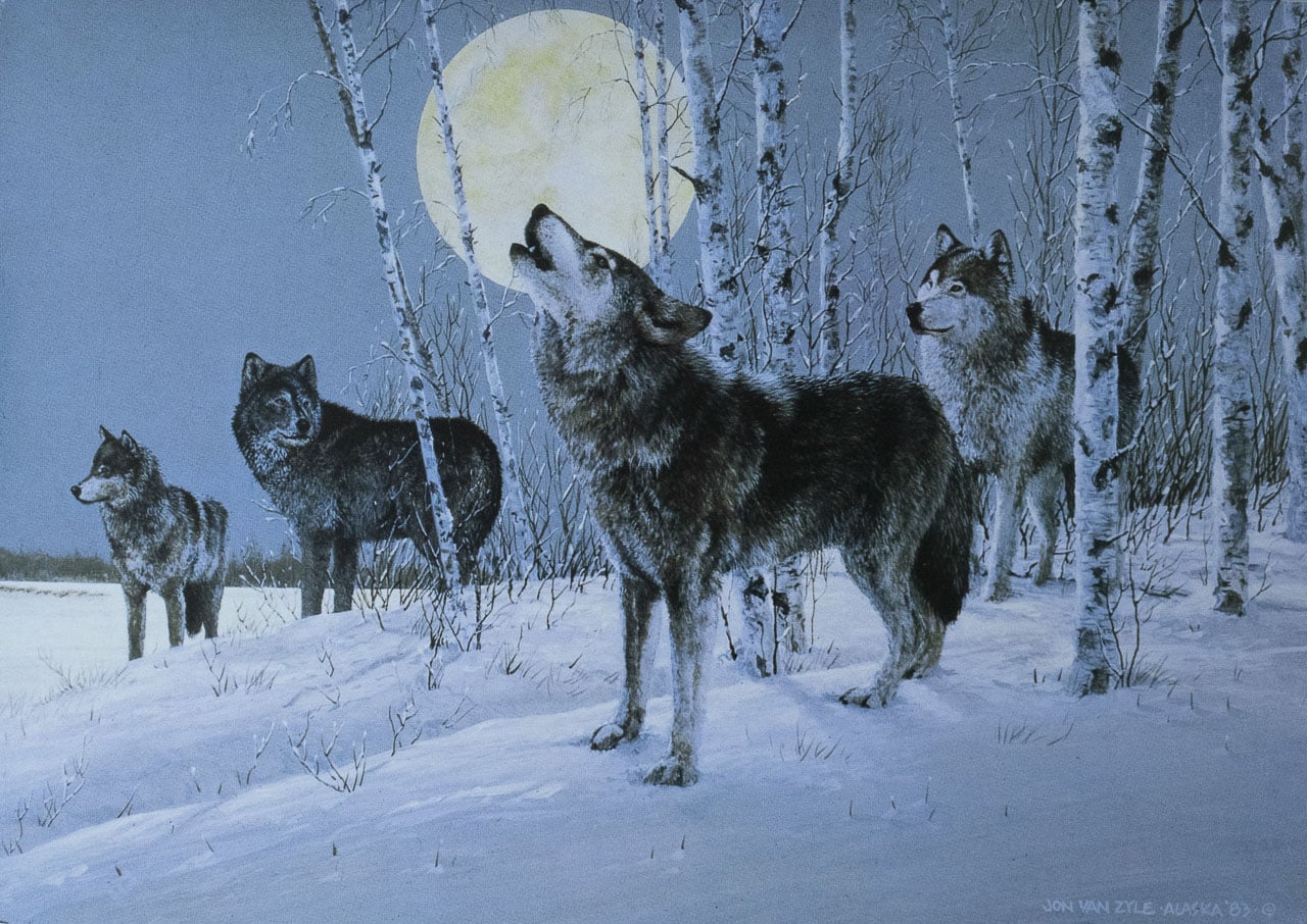 Jon Van Zyle Archives - Greatland Graphics