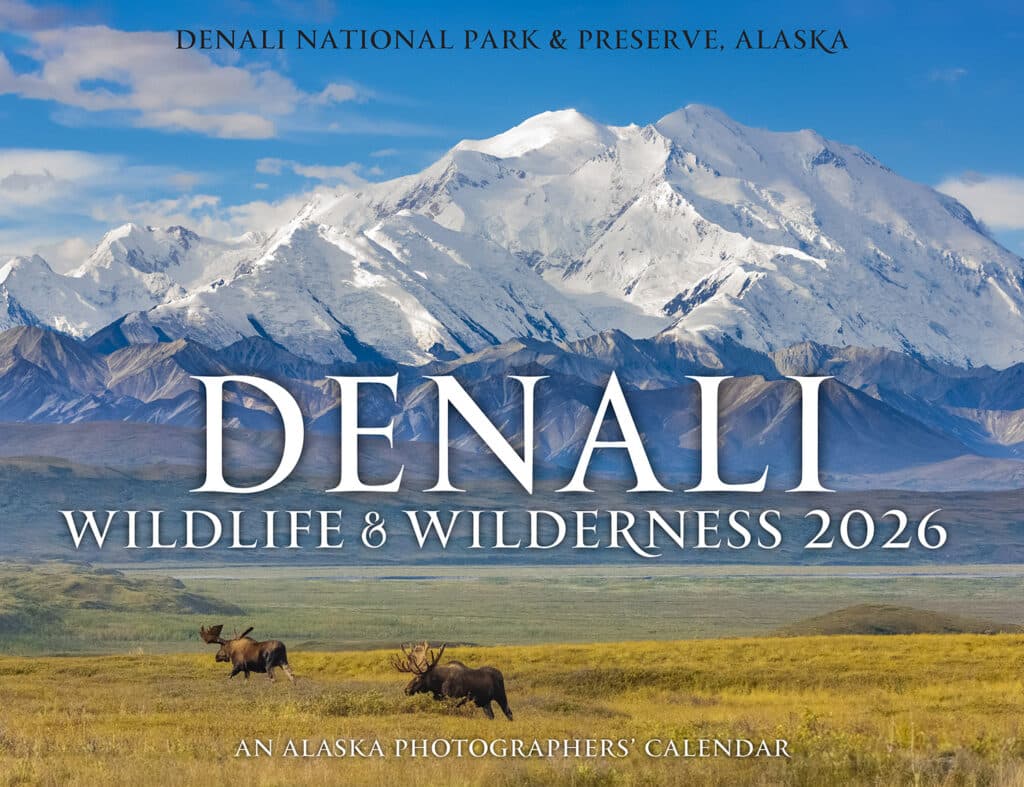 2026 Denali Wildlife & Wilderness Calendar by Greatland Graphics