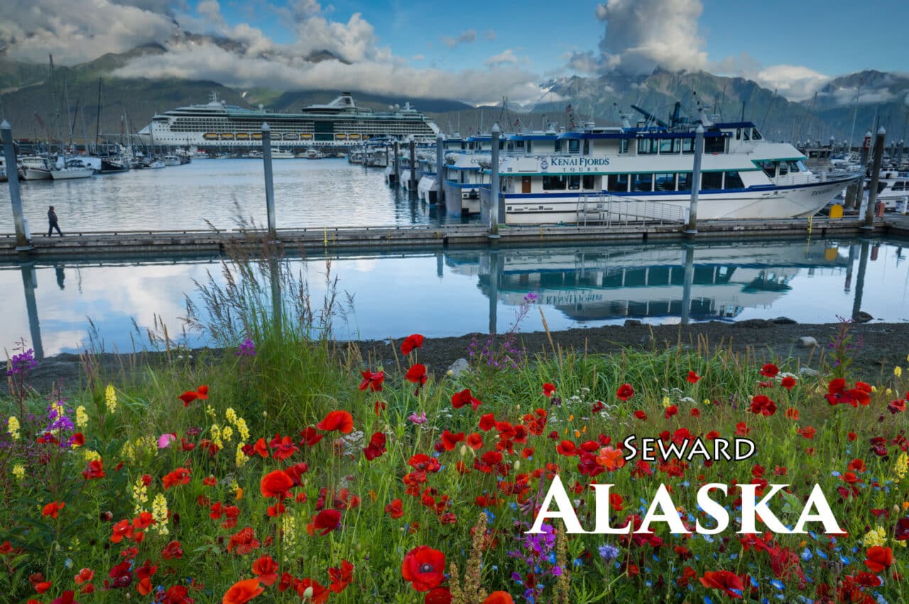 Seward - by Carl Johnson