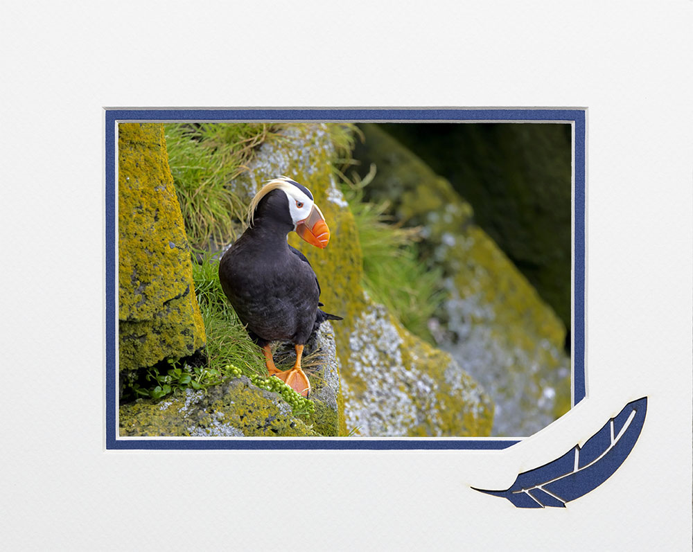 Tufted Thoughts matted card by Donna Dewhurst - Greatland Graphics