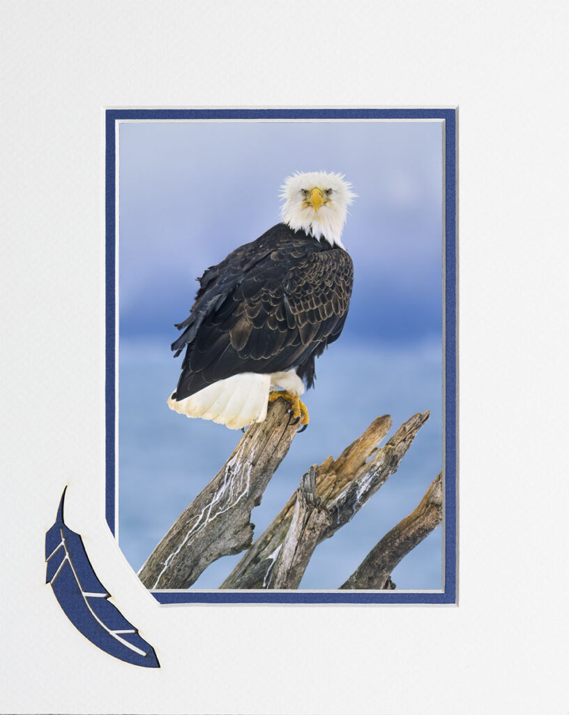 Bad Hair Day matted card by Patrick Endres - Greatland Graphics