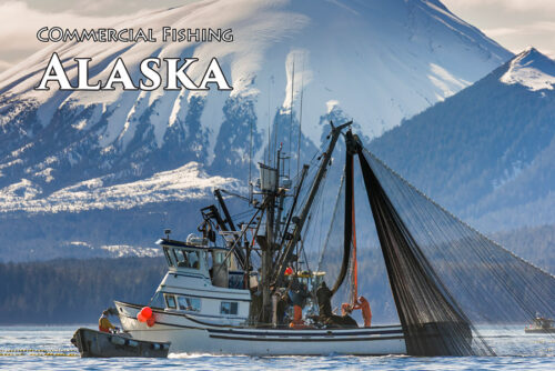 Commercial Fishing - by Patrick Endres